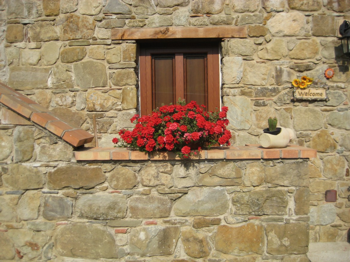 Cardile in…fiore – Benvenuti nel sito ufficiale del borgo di Cardile