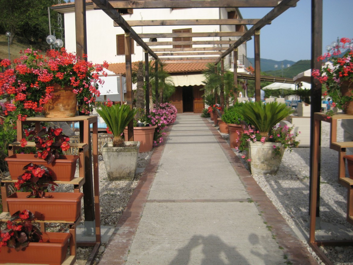 Cardile in…fiore – Benvenuti nel sito ufficiale del borgo di Cardile