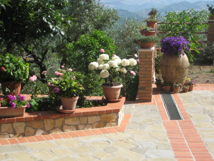 Cardile in…fiore – Benvenuti nel sito ufficiale del borgo di Cardile