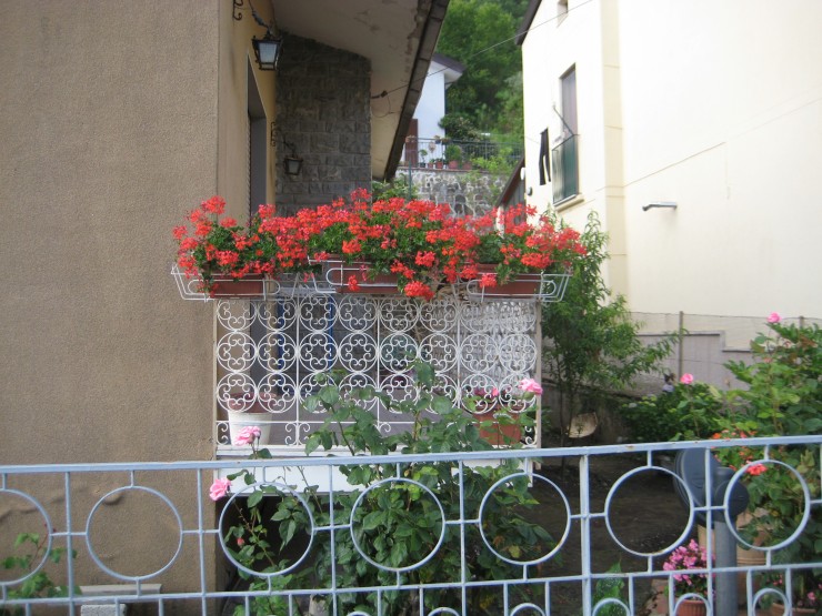 Cardile in…fiore – Benvenuti nel sito ufficiale del borgo di Cardile