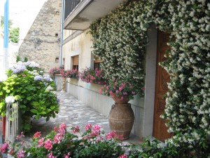 Cardile in…fiore – Benvenuti nel sito ufficiale del borgo di Cardile