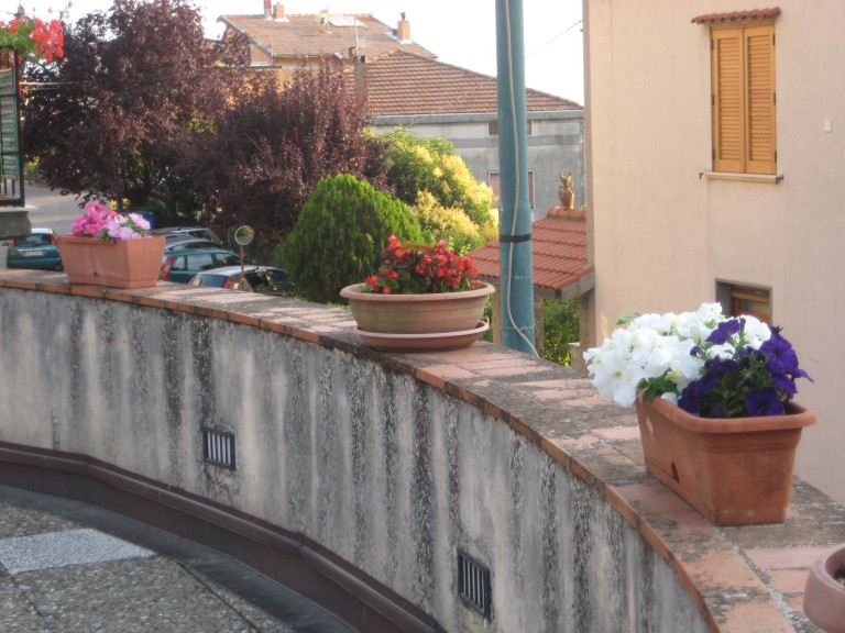 Cardile in…fiore – Benvenuti nel sito ufficiale del borgo di Cardile